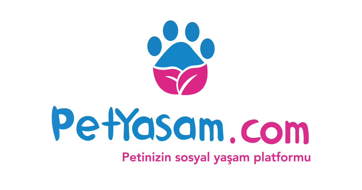 Bichon Frise Köpek Irkı Özellikleri, Karakteri, Bakımı ve Beslenmesi ...
